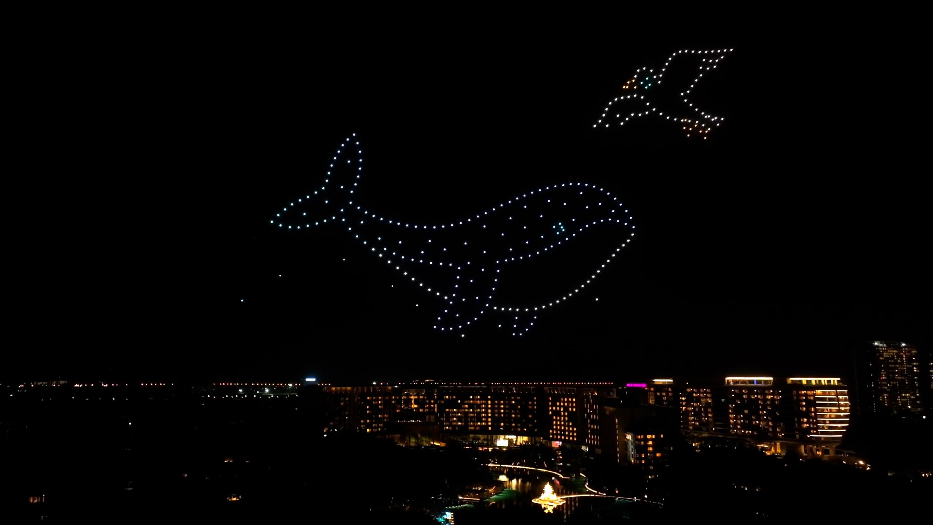 Starlight Swarms - Africa's Premier Drone Light Show Company ...